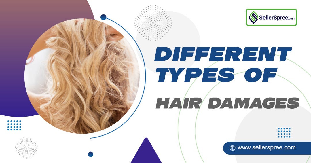Different Types Of Hair Damages | SellerSpree | by Seller Spree | Medium