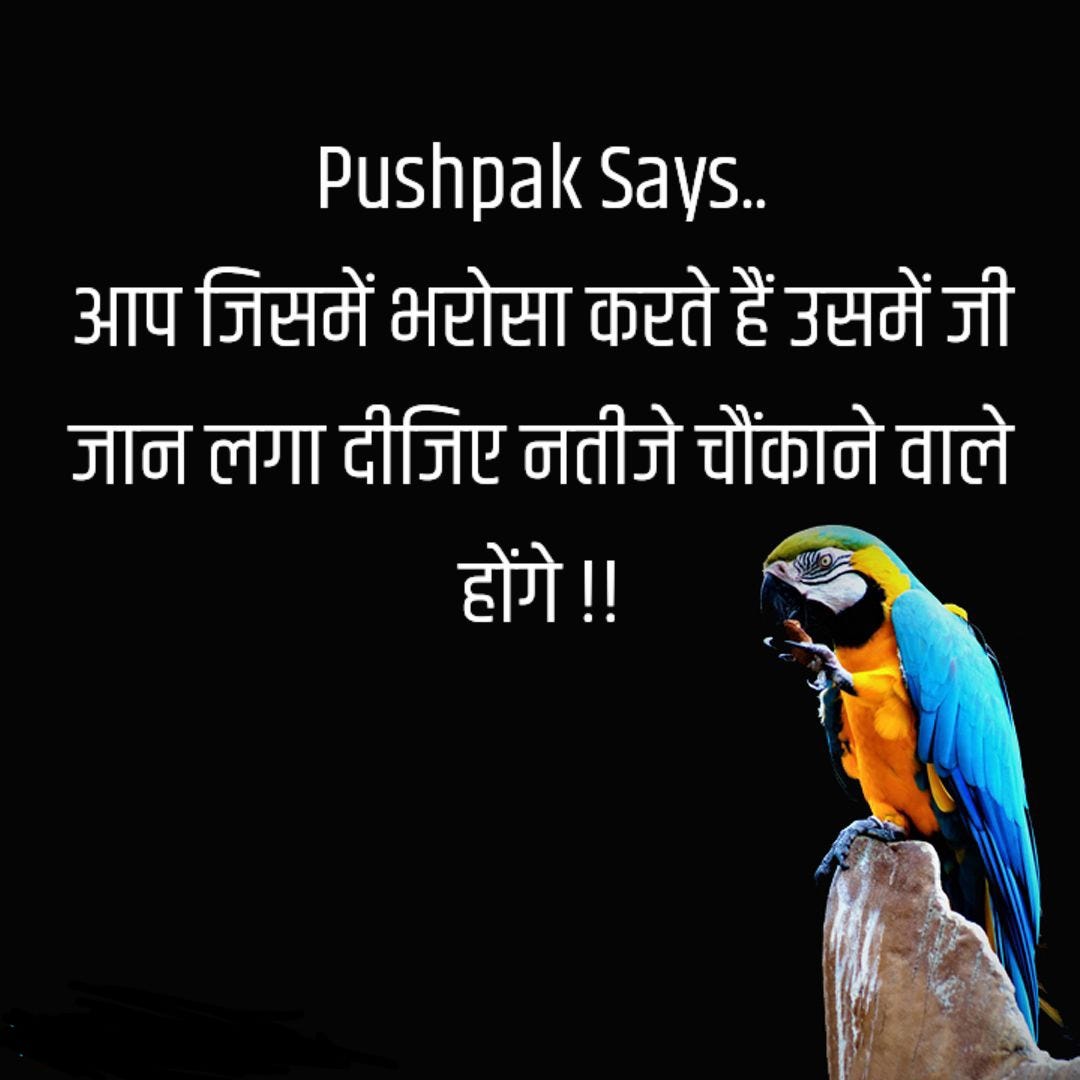Pushpak Says.. आप जिसमें भरोसा करते हैं उसमें जी जान लगा दीजिए नतीजे चौंकाने वाले होंगे ...