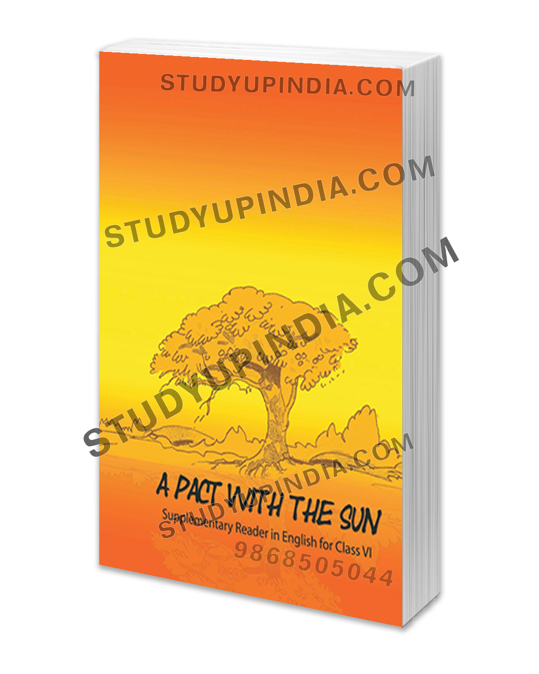 NCERT Class 6 — A Pact with the Sun | by Studyupindia | Medium