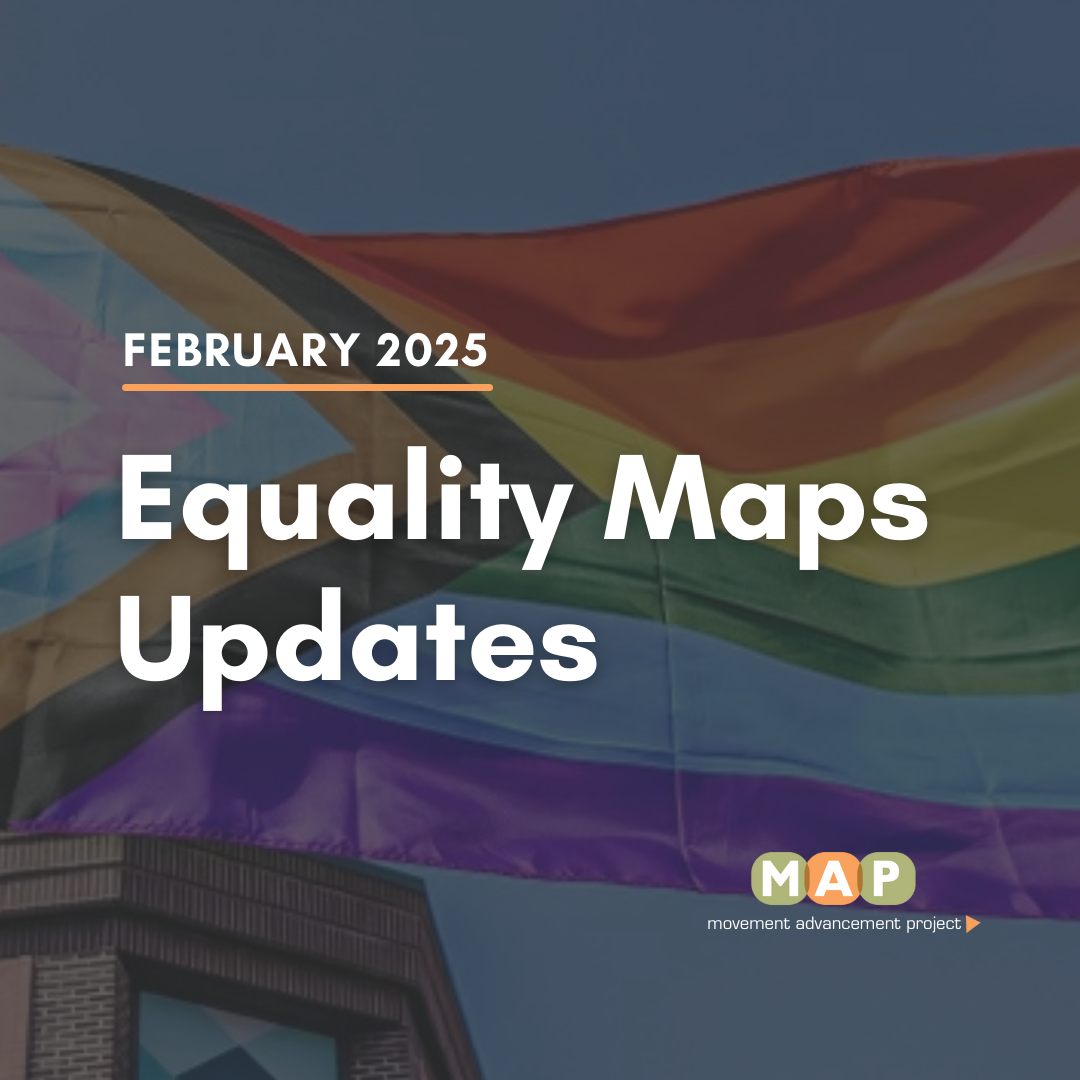 LGBTQ Equality Maps Updates: February 2025 | by Movement Advancement ...