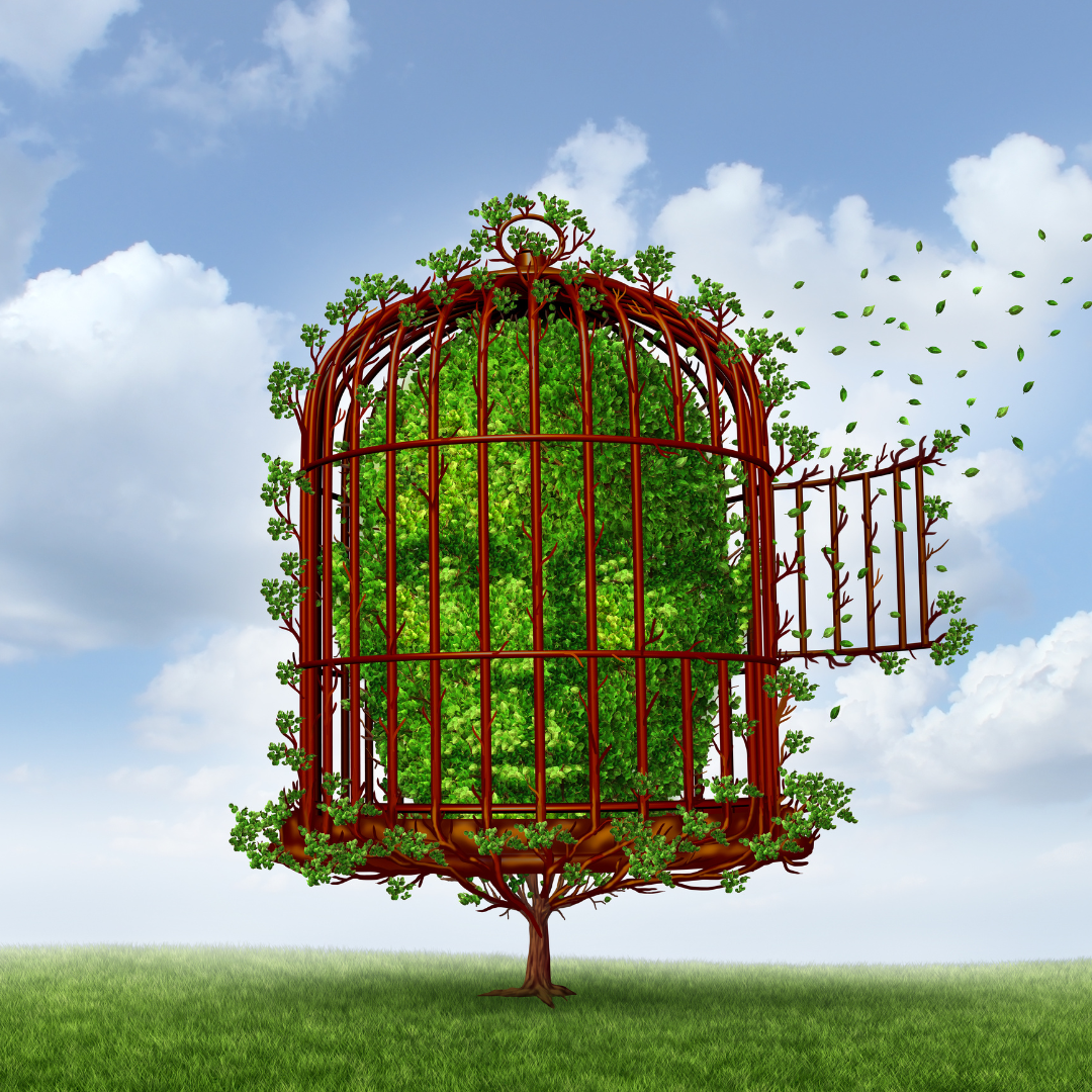 How to escape your mind, Today!. “Identity is the ultimate frame. | by ...
