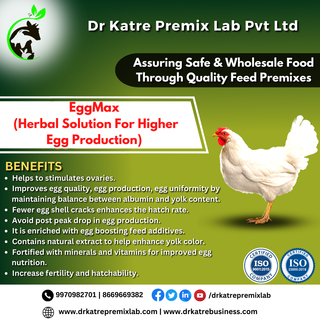 Poultry Feed EggMax Manufacturing and Export from India | by ...