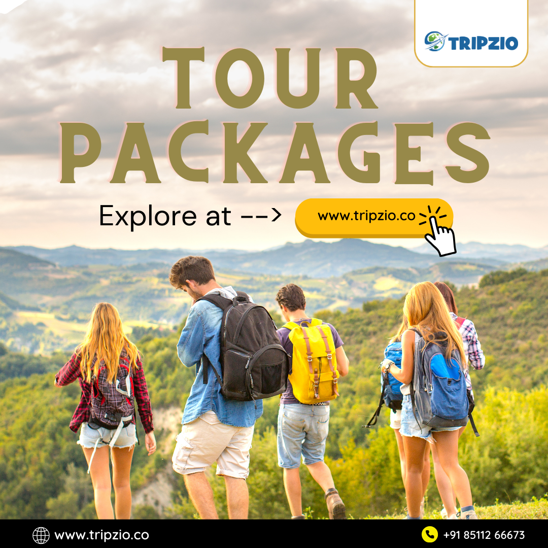 Discover The World With Tripzio Tour Packages Tripzio Medium