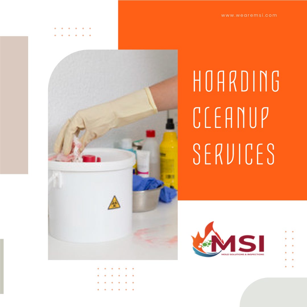 Hoarding Cleanup Services - Mold Solutions & Inspections - Medium