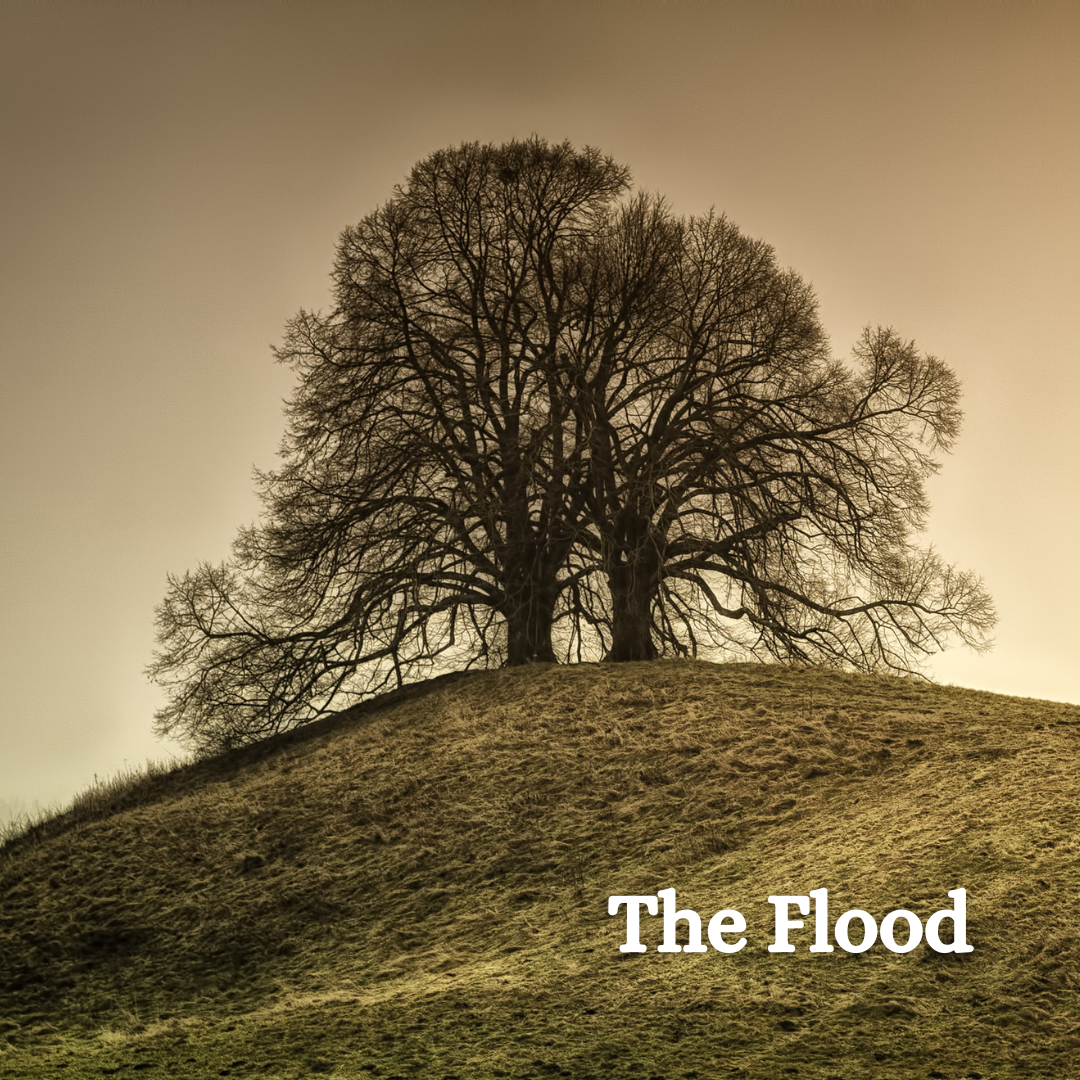 The Flood. Original post: Heloise Montini Fiction… | by ...