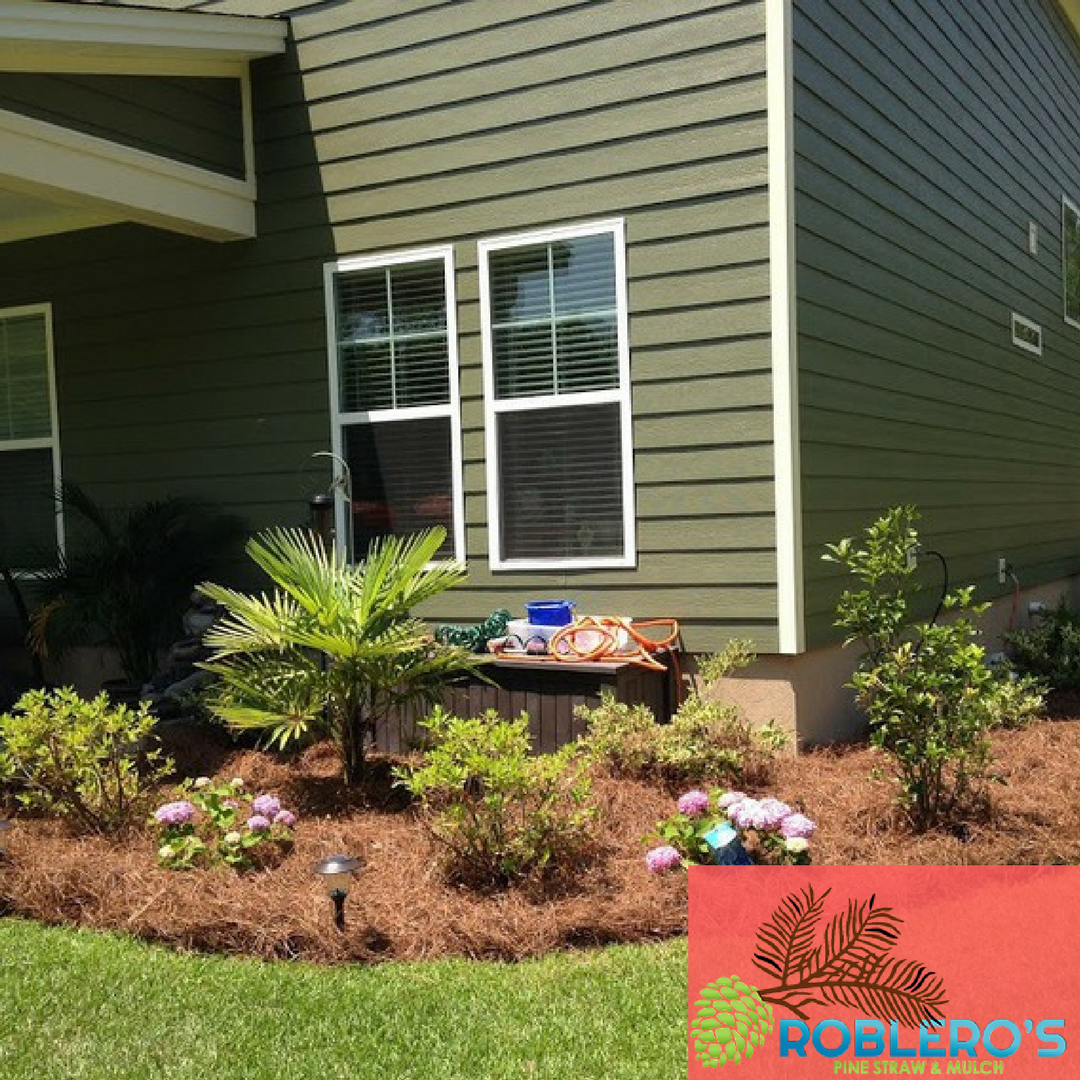Pine straw delivery in Atlanta: Why Pine straw is the preferred form of ...