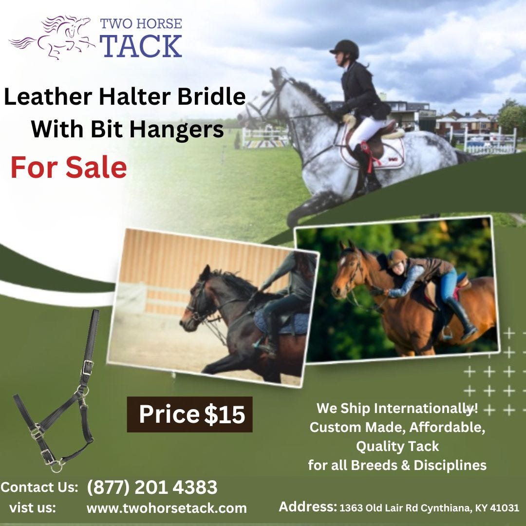 High-Quality Leather Halter Bridle with Bit Hangers-twohorsetack - Two ...
