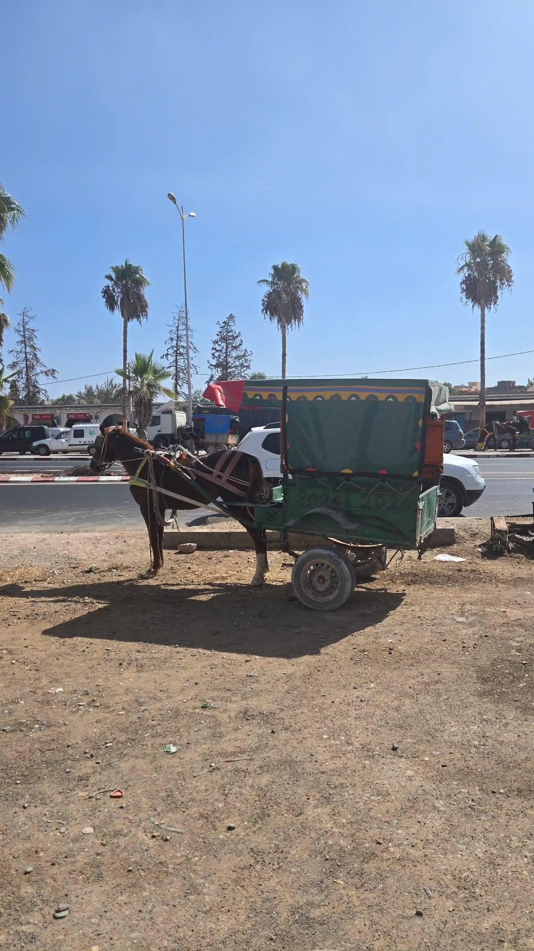 My Moroccan Driver Held Me Hostage | Spain & Morocco Part 8 | by Angie ...