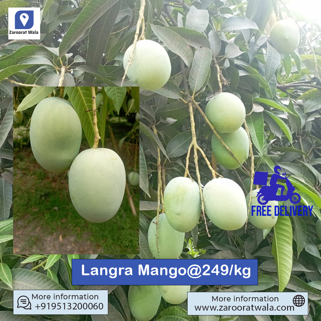 Langra / Malda Aam: The King of Mangoes | by Zaroorat Wala | Medium