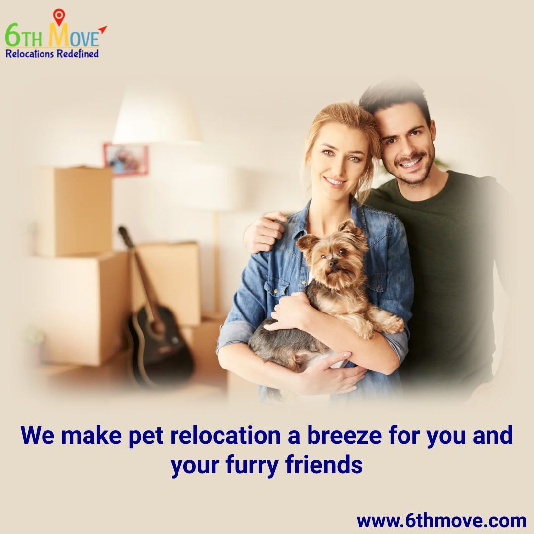 Pet Relocation Dubai - 6ThMOVE - Medium