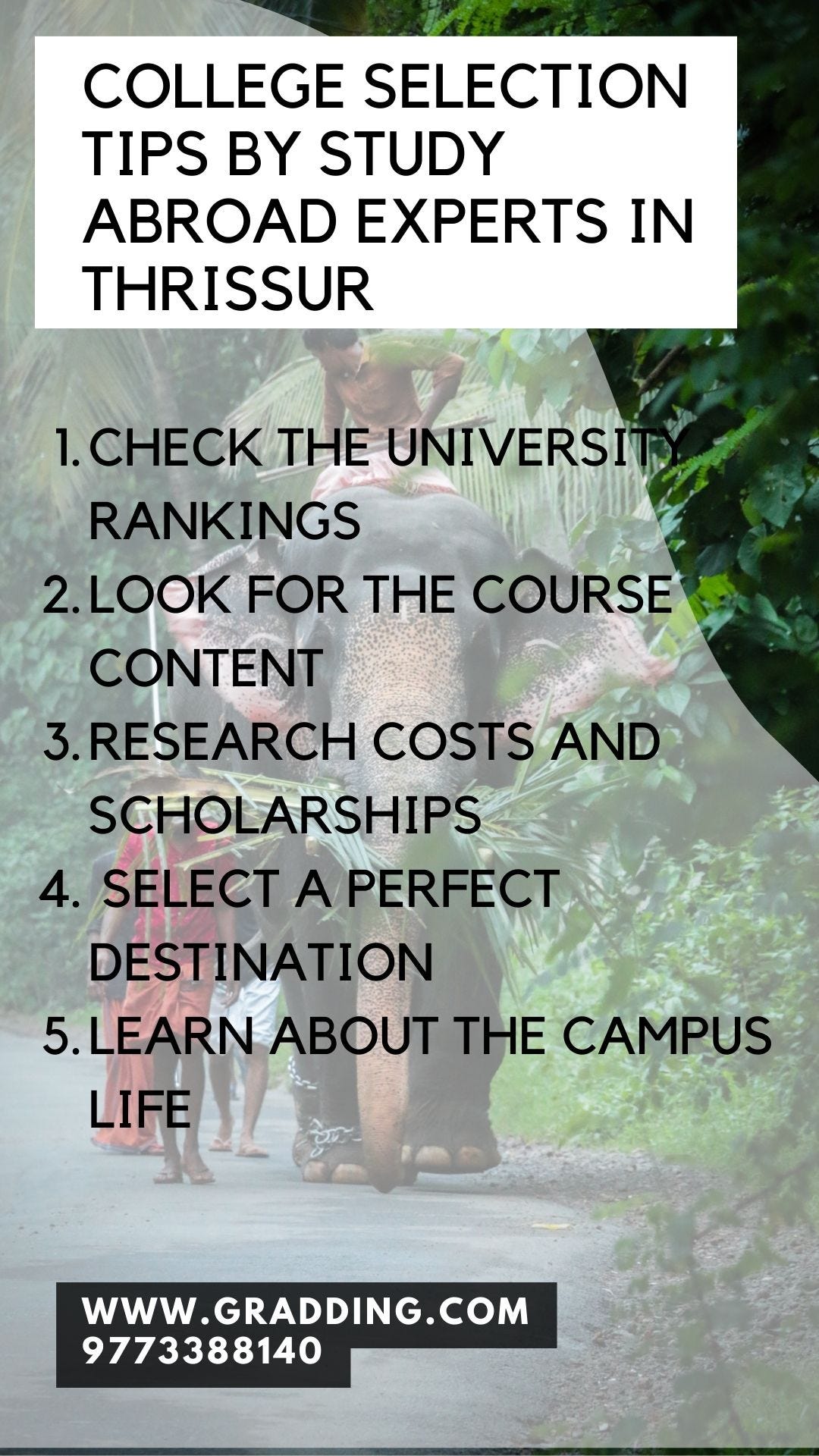 Top 5 College Selection Tips to Study Abroad by Experts - Jesica ...