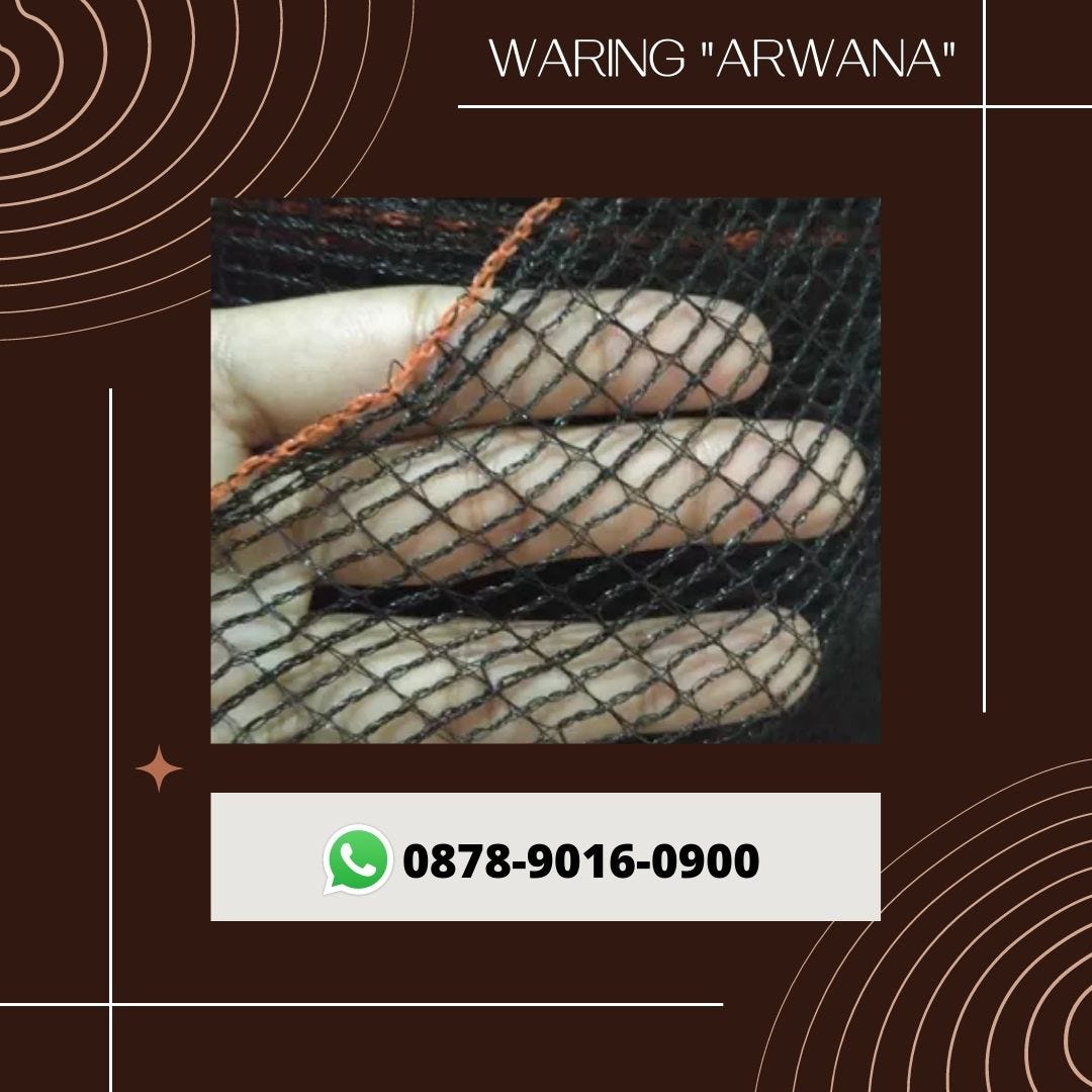 Harga Terjangkau, WA+6287890160900, Agen waring putih sidoarjo ...