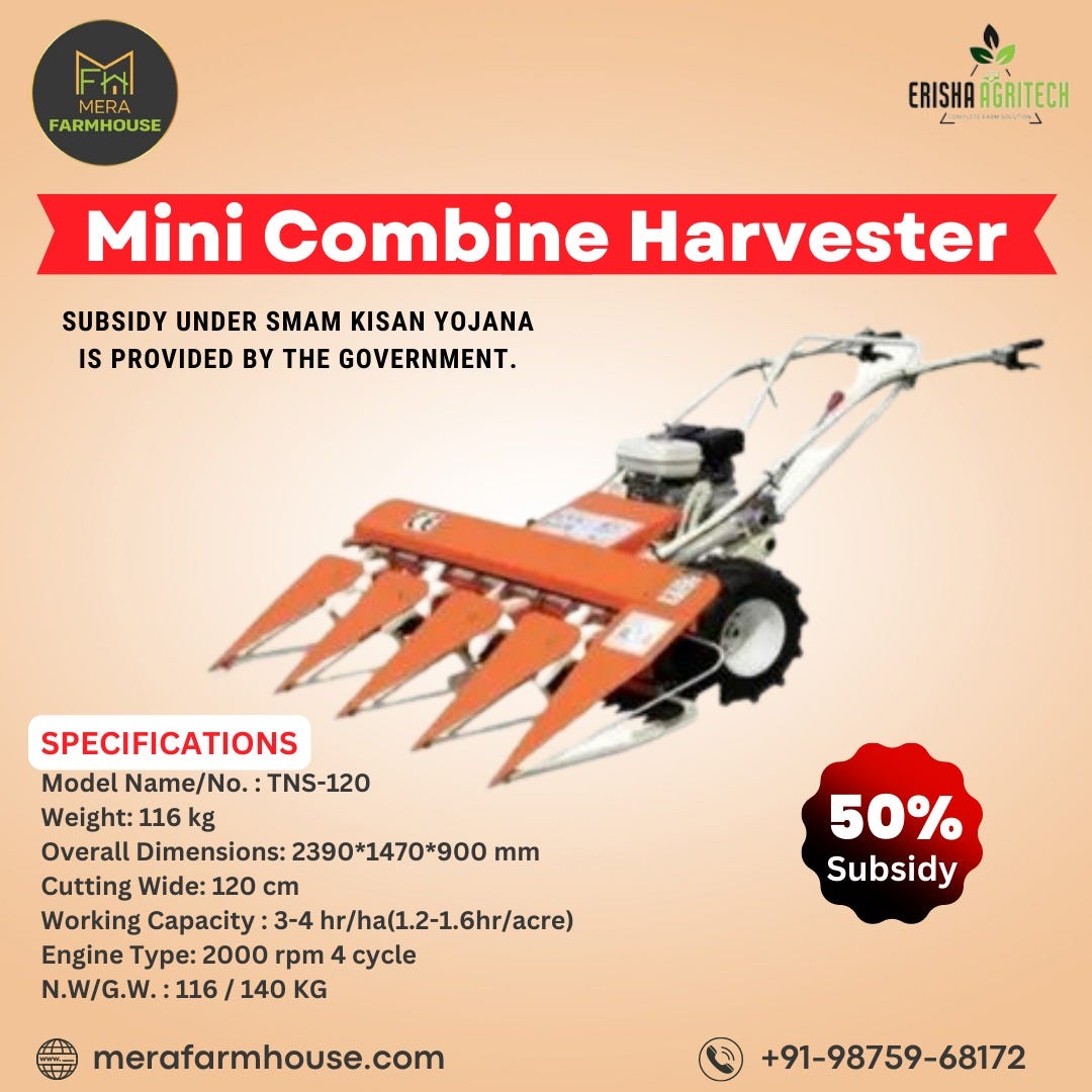 𝗣𝗘𝗔𝗡𝗨𝗧🥜🥜 𝗛𝗔𝗥𝗩𝗘𝗦𝗧𝗘𝗥 — 𝗘𝗥𝗜𝗦𝗛𝗔 𝗔𝗚𝗥𝗜𝗧𝗘𝗖𝗛 - Merafarmhouse - Medium