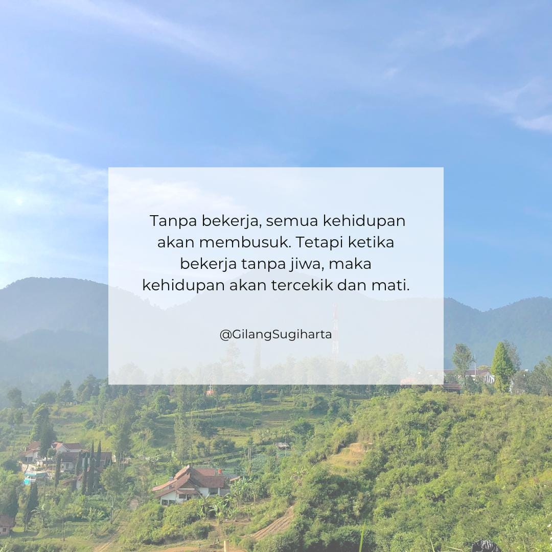 MIPACKO MICROFIBER(QUOTES) #mipacko #originalmicrofiber # ...