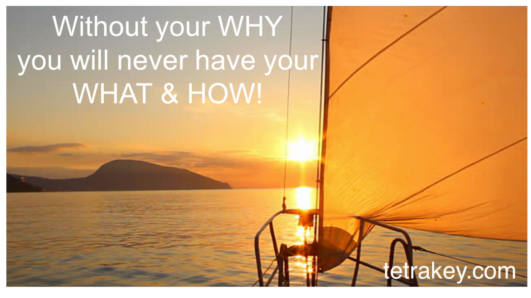 CRITICAL — Know your WHY. ‘He who has a why to live for can bear… | by ...