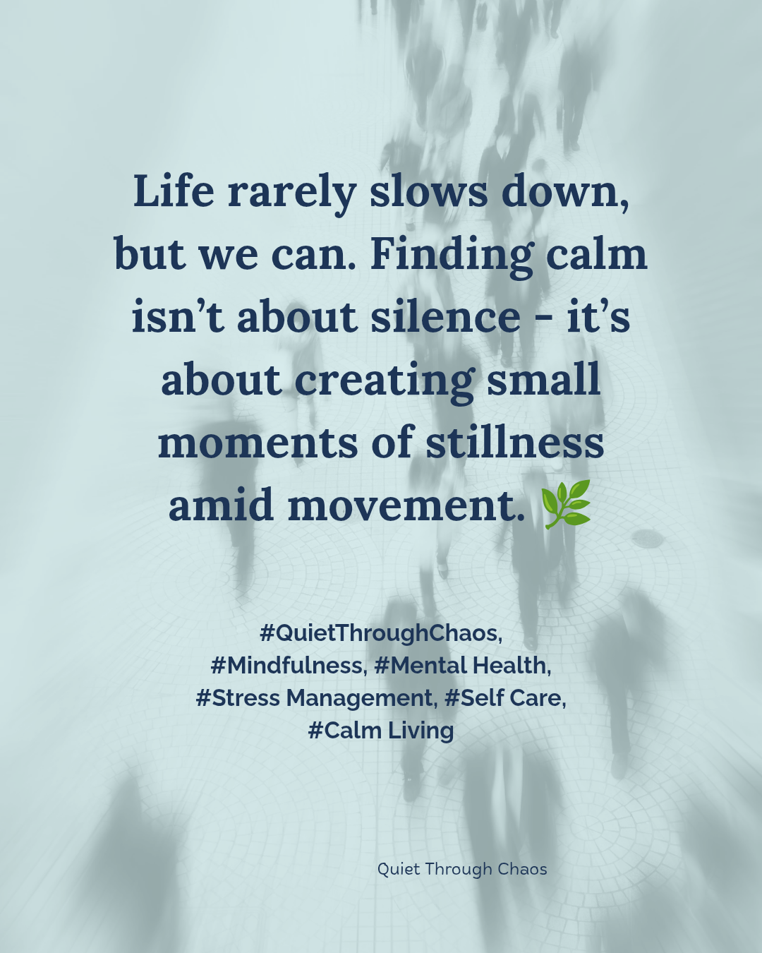 Finding Calm in Everyday Chaos. Chaos is constant. Calm is a choice ...