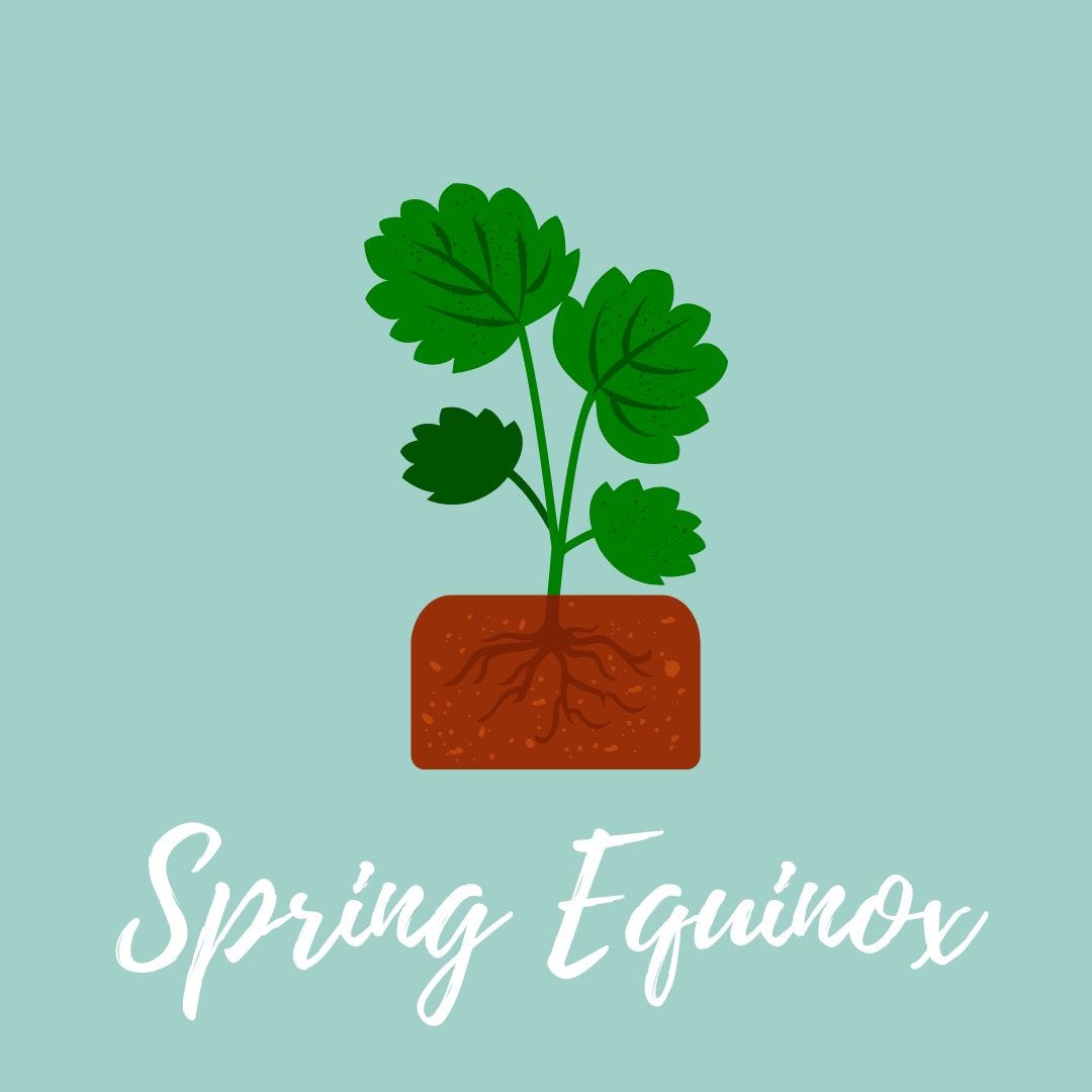 Spring Equinox. Today, 20th March 2023, is the Spring… | by Happiness ...