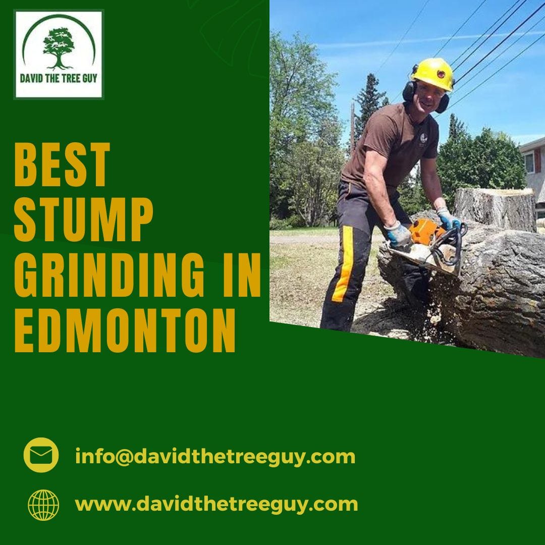 Best Stump Grinding in Edmonton - David The Tree Guy - Medium