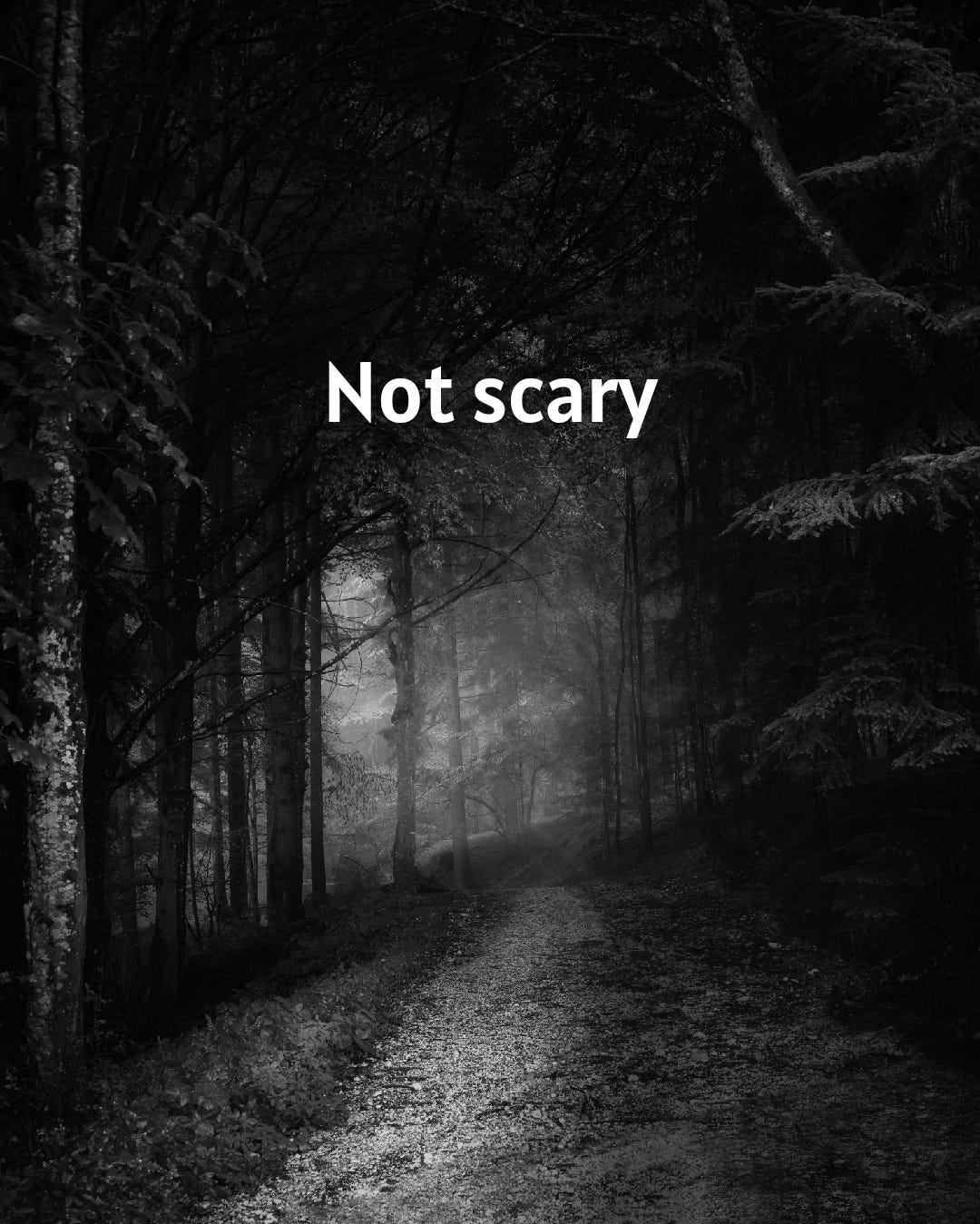 NOT SCARY | by Kingsun Lang | Feb, 2025 | Medium
