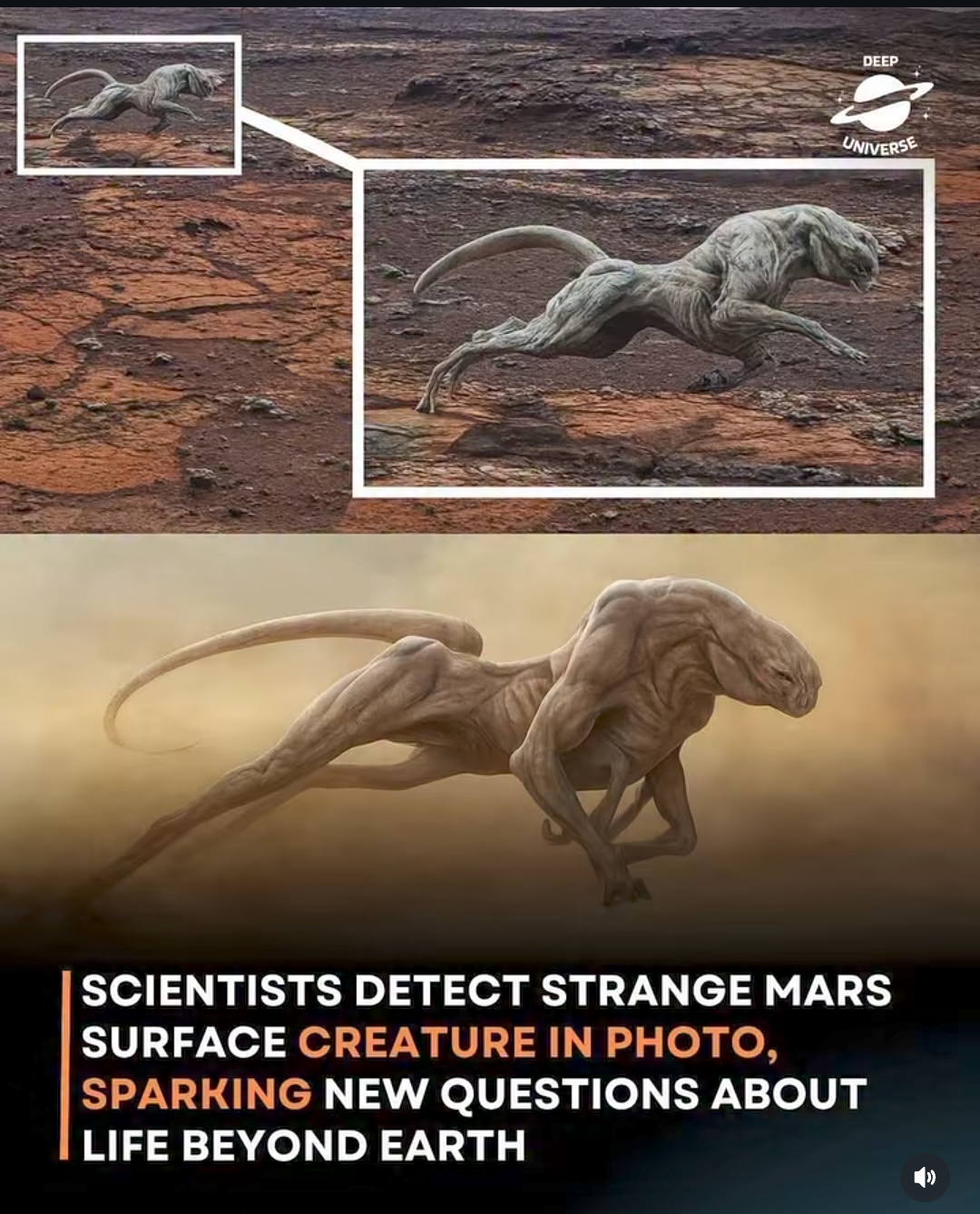 The Mysterious Mars Creature: Are We Finally Not Alone? | by Dinesh ...