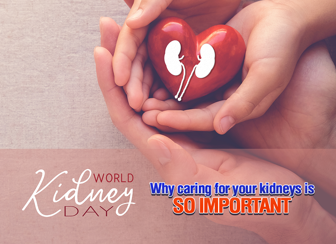 Why caring for your kidneys is so important | by P. D. Hinduja Hospital ...