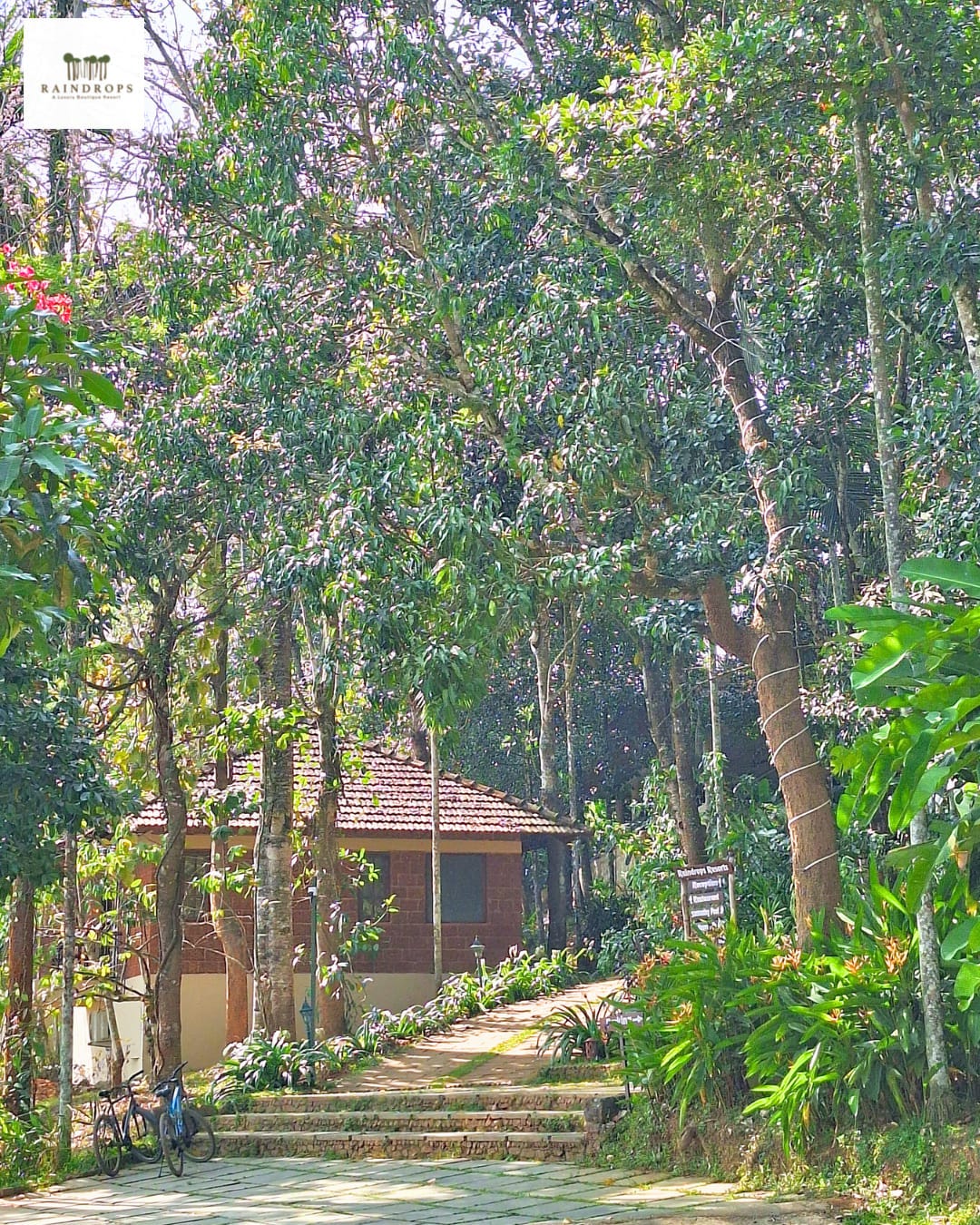 Welcome to Raindrops Resorts — our haven of serenity. Here’s what ...