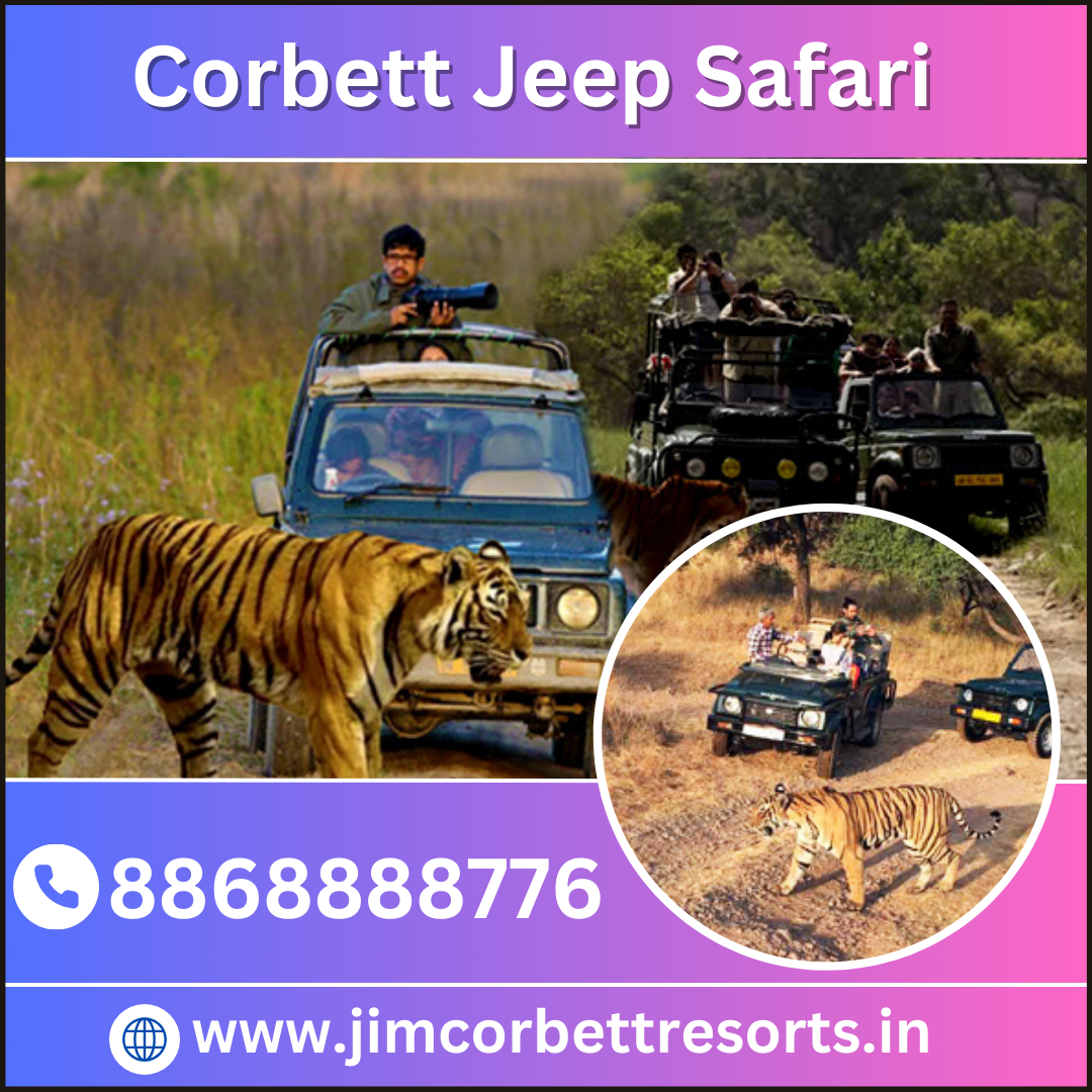 Introduction the Thrills of Corbett Jeep Safari | by Jim Corbett Resorts | Medium