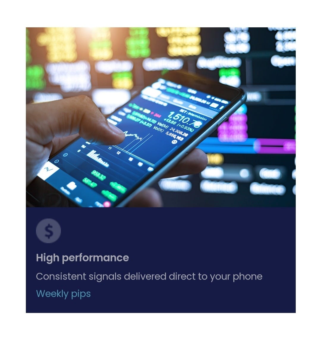 1000 Pip Builder: Elevate Your Forex Trading with Expert Guidance | by ...