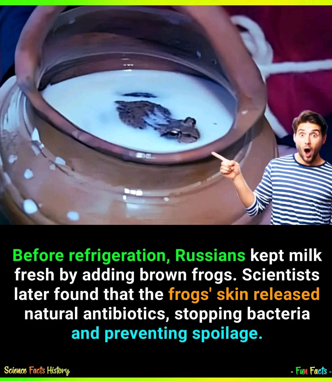 The Fascinating Reason Russians Put Frogs in Milk | by Ghulam Murtaza ...