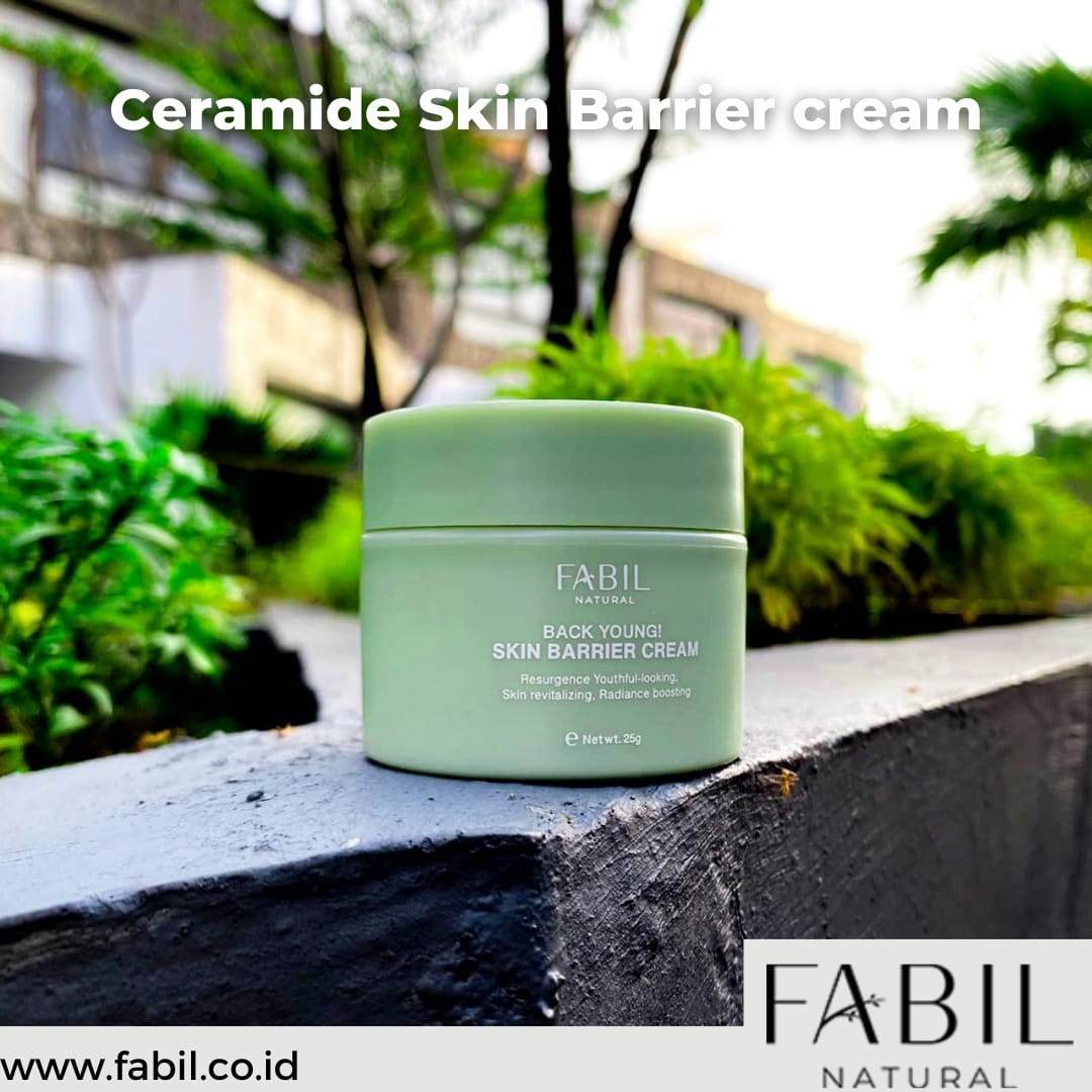 Ceramide skin barrier cream fabil natural | by Ombre Lip Cream Fabil ...