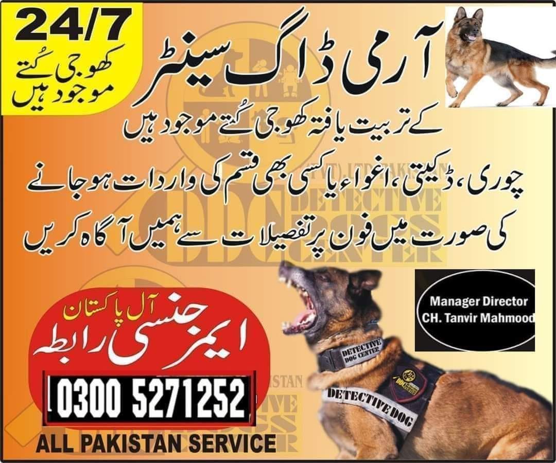 Army Dog Center Winder 03337428551 - Pakistan Army Dog Center - Medium