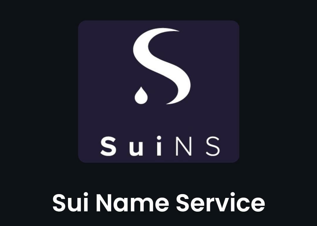 Introducing Sui: A Decentralized Name Service | by cgdev | Medium