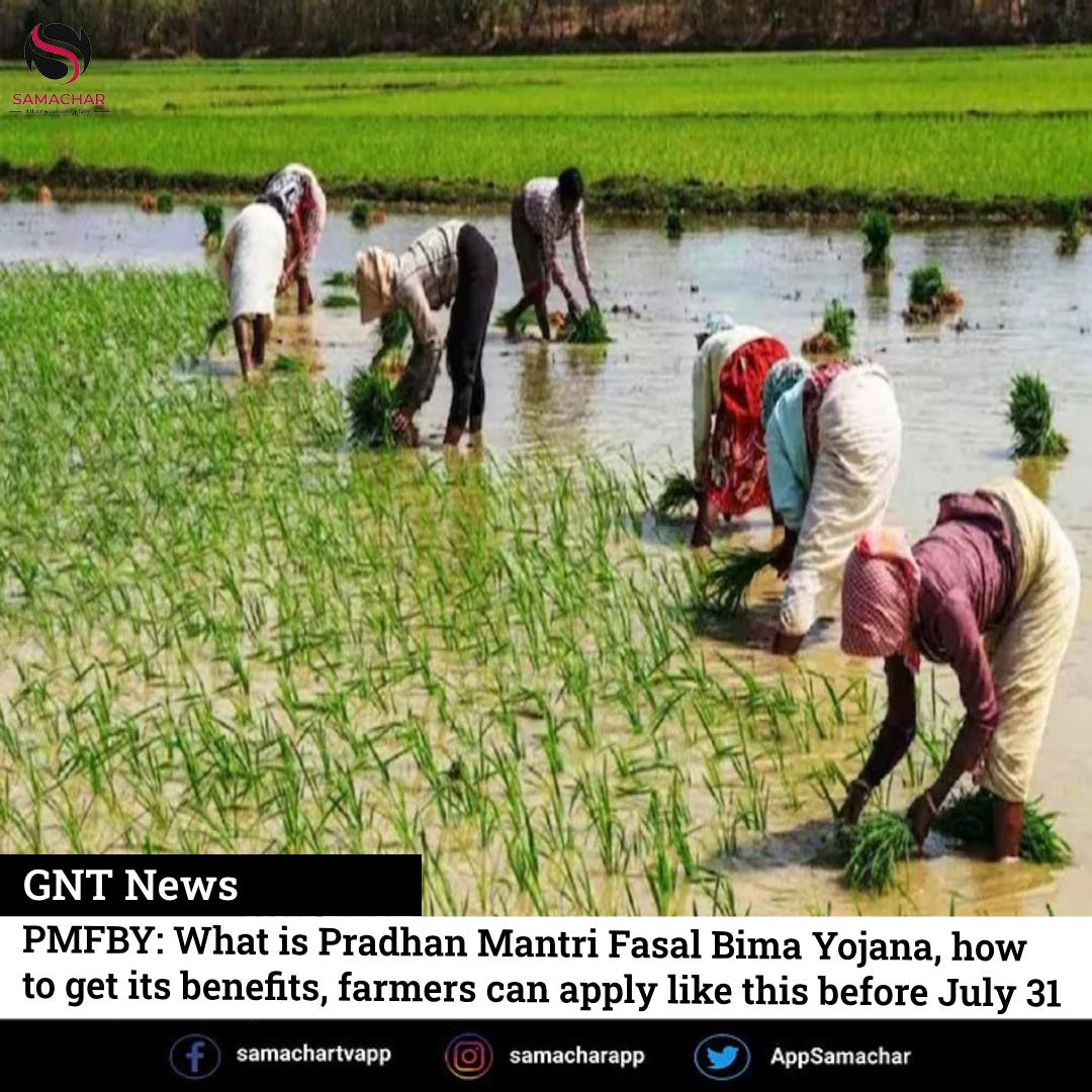 PMFBY: What is Pradhan Mantri Fasal Bima Yojana, how to get its ...