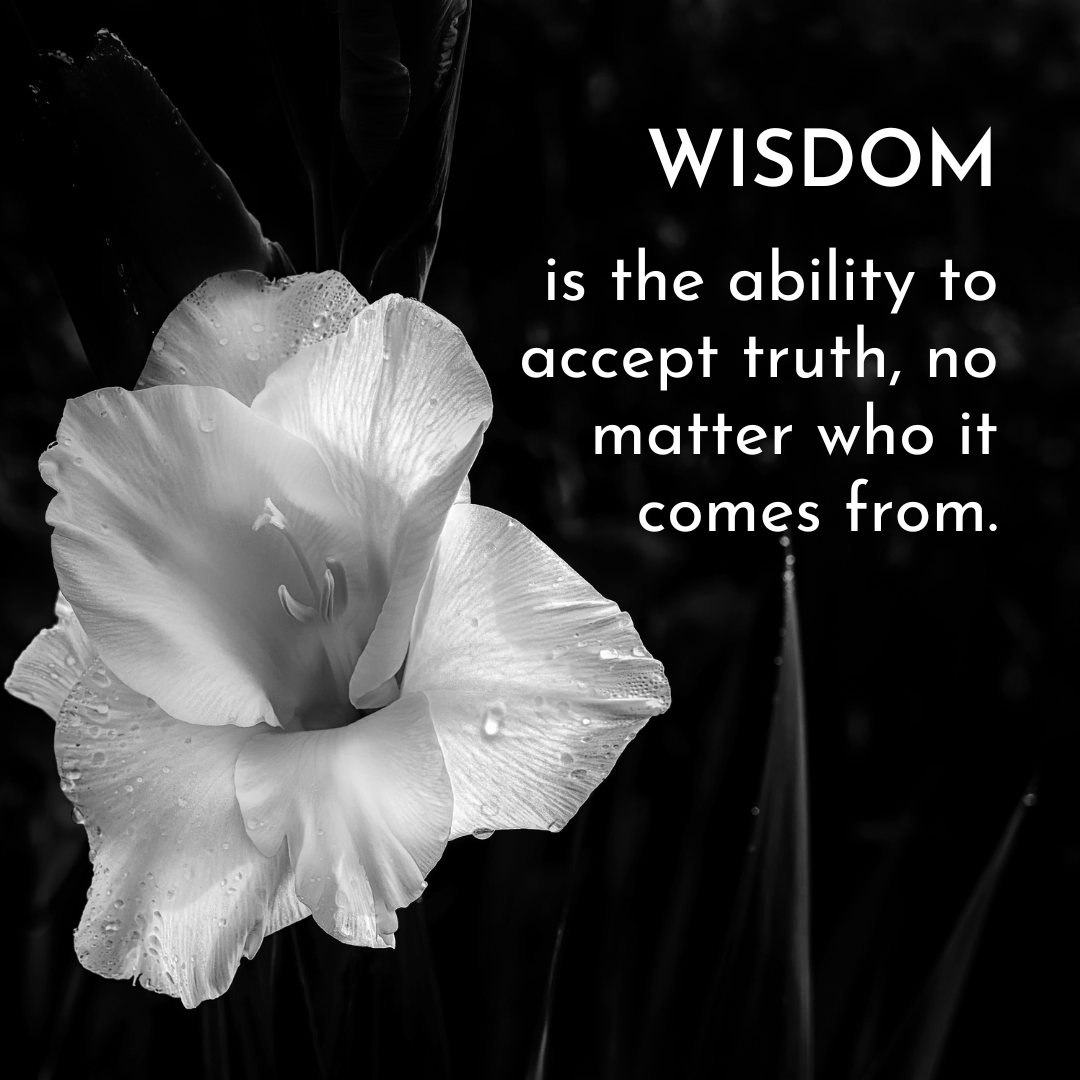 Wisdom Is the Ability to Accept Truth, No Matter Who It Comes From | by ...