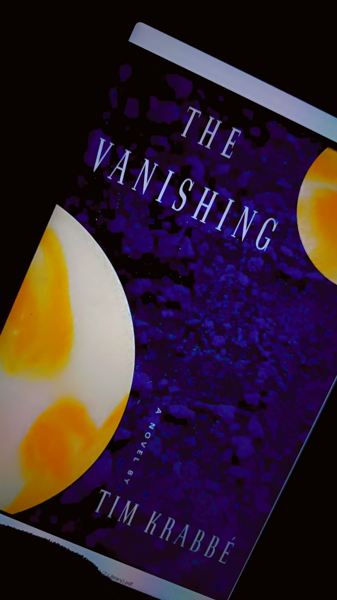 Book opinion: The Vanishing. By: Tim Krabbe | by Muku | Jul, 2024 | Medium