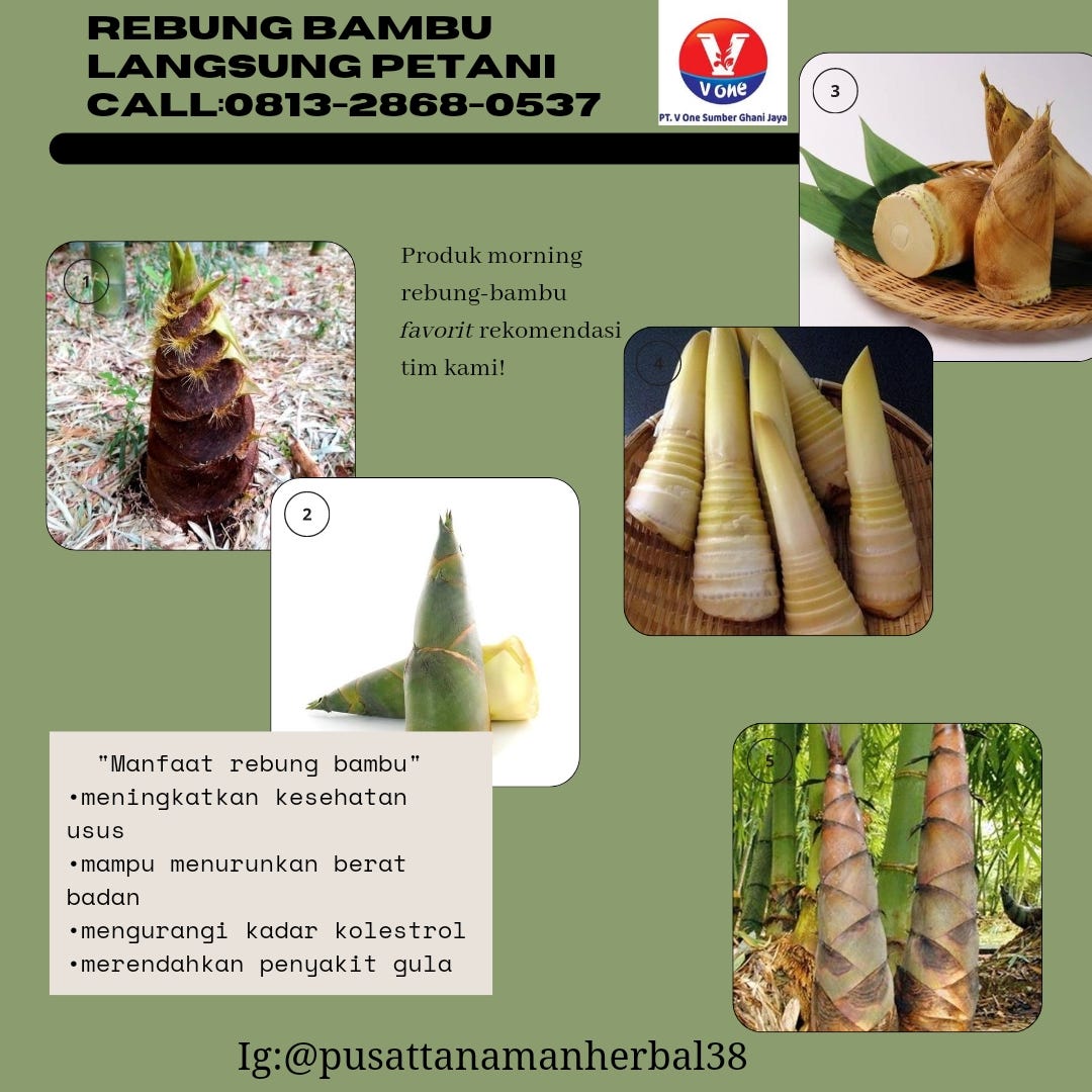 Pusat Budidaya Herbal Rebung Bambu Betung Tambak Bayumas ...
