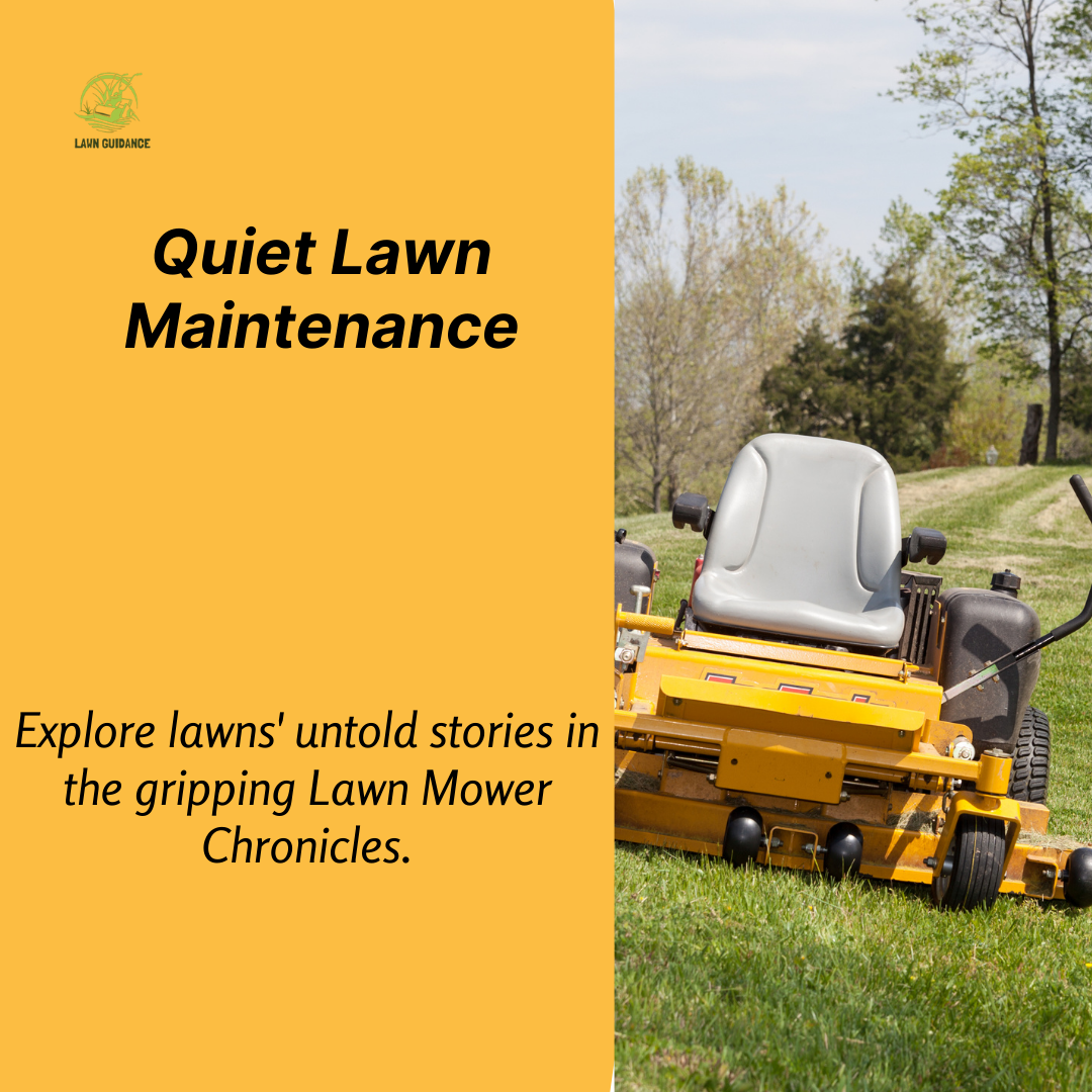 Quiet Lawn Maintenance - James M. Chew - Medium