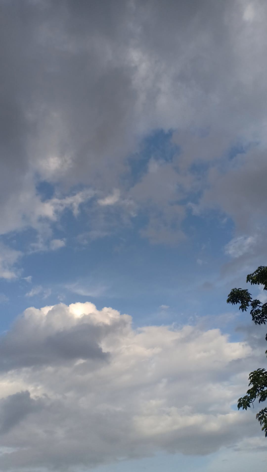 The Sky I Never See. Do You? | by Phaguni Shrivastava | Write Your ...