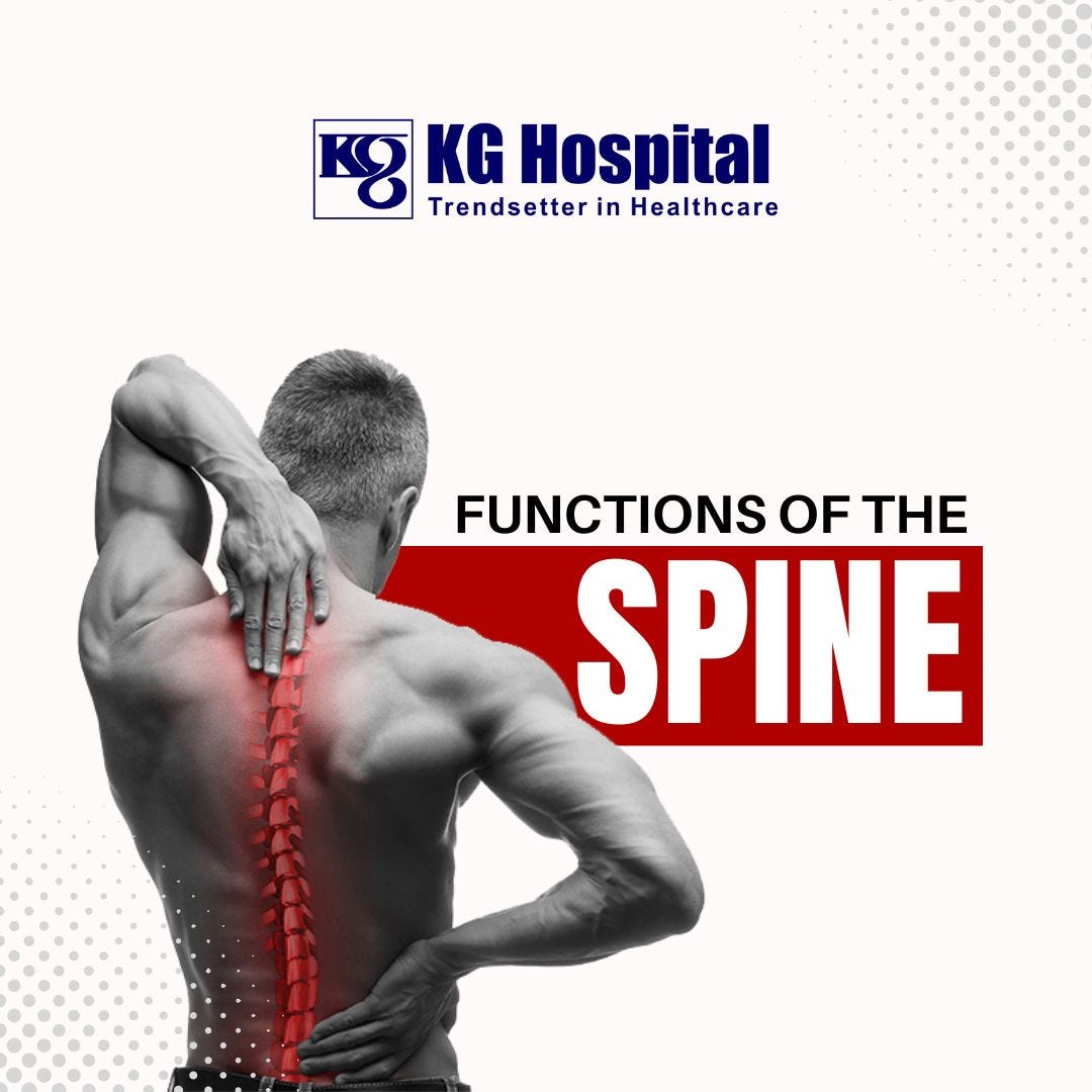 Functions of the SPINE. Functions of the SPINE | by KG Hospital | Jul ...