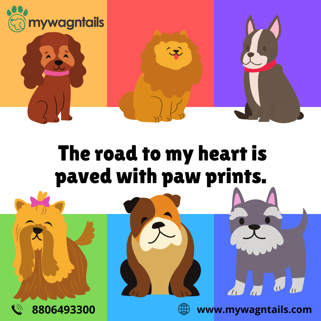 The road to my heart is paved with paw print. - My Wag N Tail - Medium