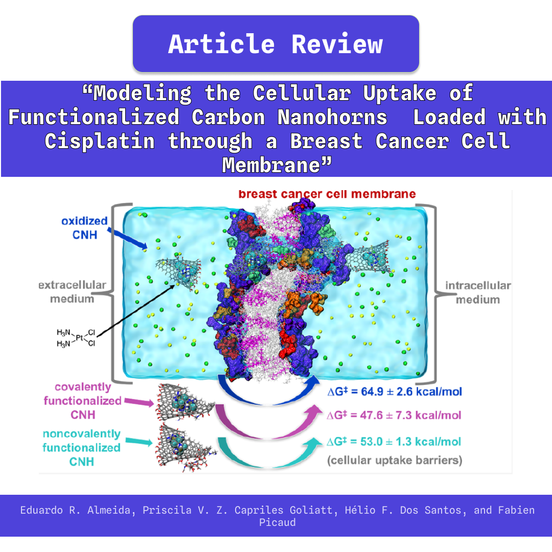 Modeling the Cellular Uptake of Functionalized Carbon Nanohorns Loaded ...
