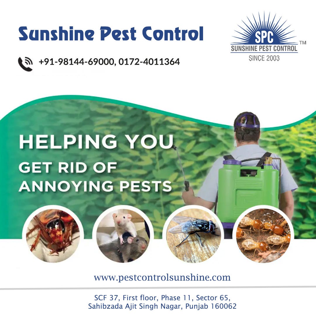 Get Rid Of Annoying Pests - Sunshine Pest Control(Mr. Arshi Singh) - Medium