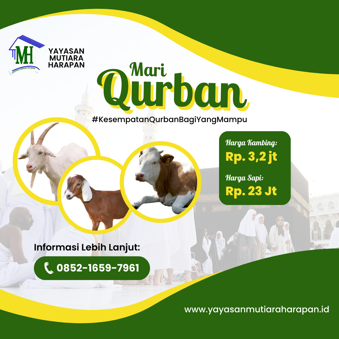 sapi qurban termurah di yayasan mutiara harapan - Fransisco Az - Medium