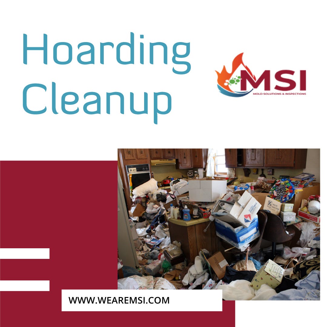 Hoarding Cleanup Services - Mold Solutions & Inspections - Medium