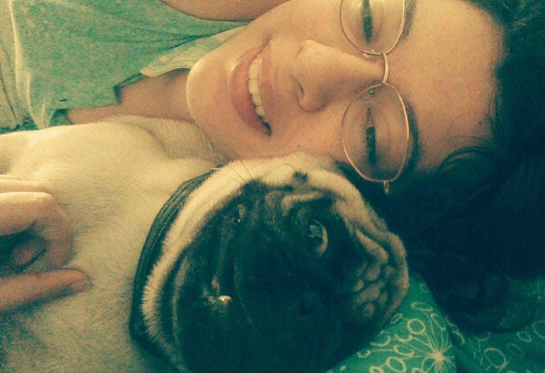A Dog’s death that changed a life purpose. | by Andorah | Dali PUG ...