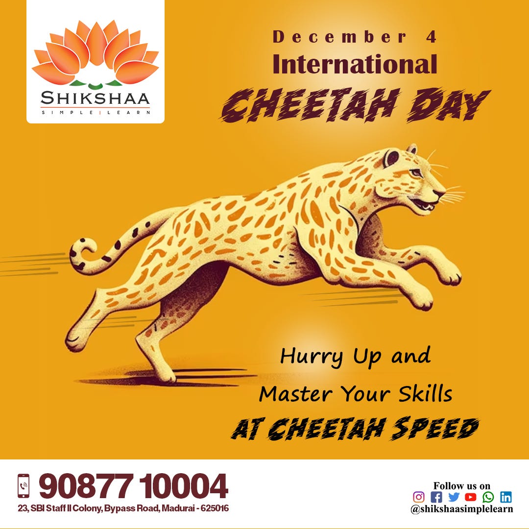 Celebrating International Cheetah Day: Protecting Our Fast Friends | by ...