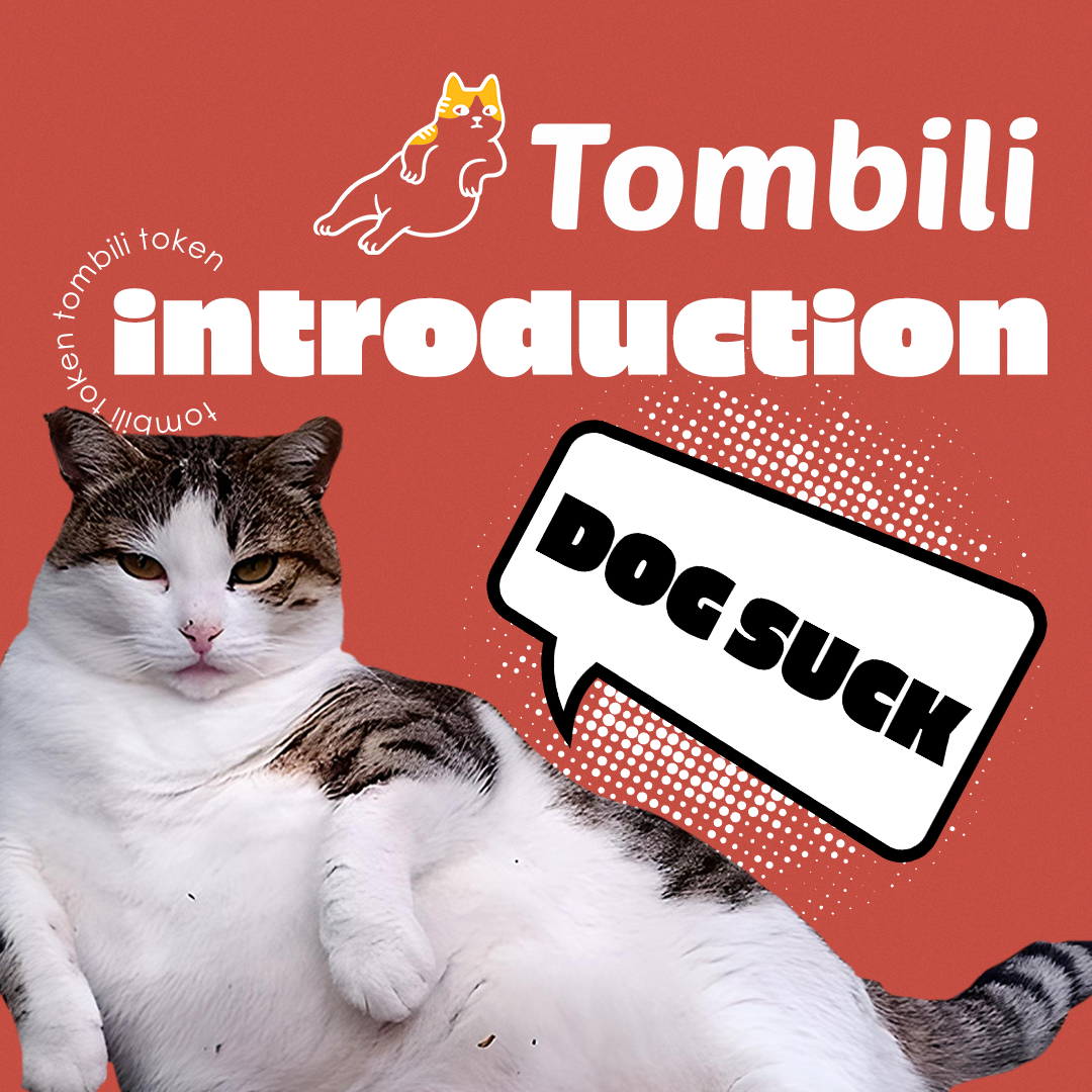 Tombili Token: A Memorable Meme Token with Social Responsibility | by ...