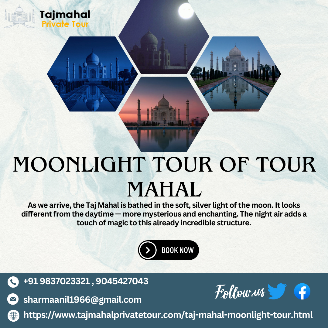 Moonlight Tour of Taj Mahal. Introduction to the Taj Mahal | by ...