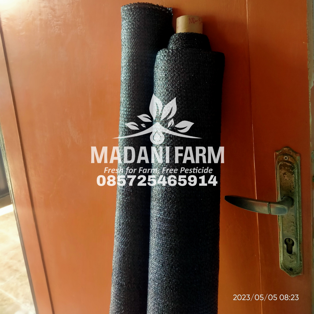 IMPORTIR & DISTRIBUTOR PARANET/JARING HITAM TANAMAN | HP/WA : 0856.4752 ...