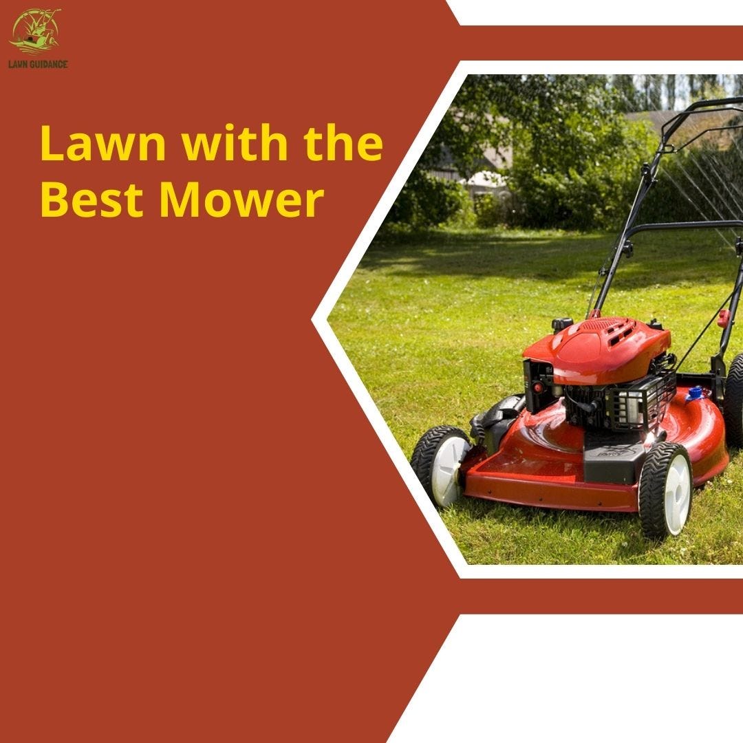 Crafting a Beautiful Lawn with the Best Mower - James M. Chew - Medium